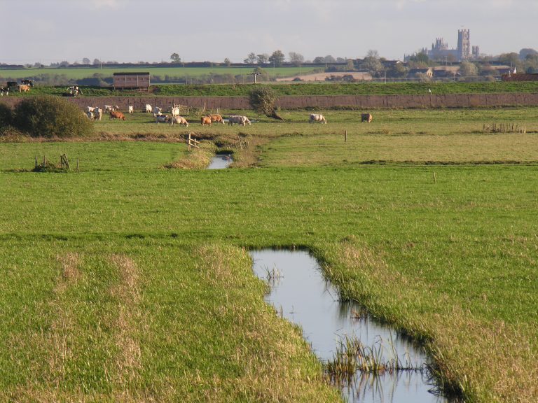 Isle of Ely | Fen Edge Trail