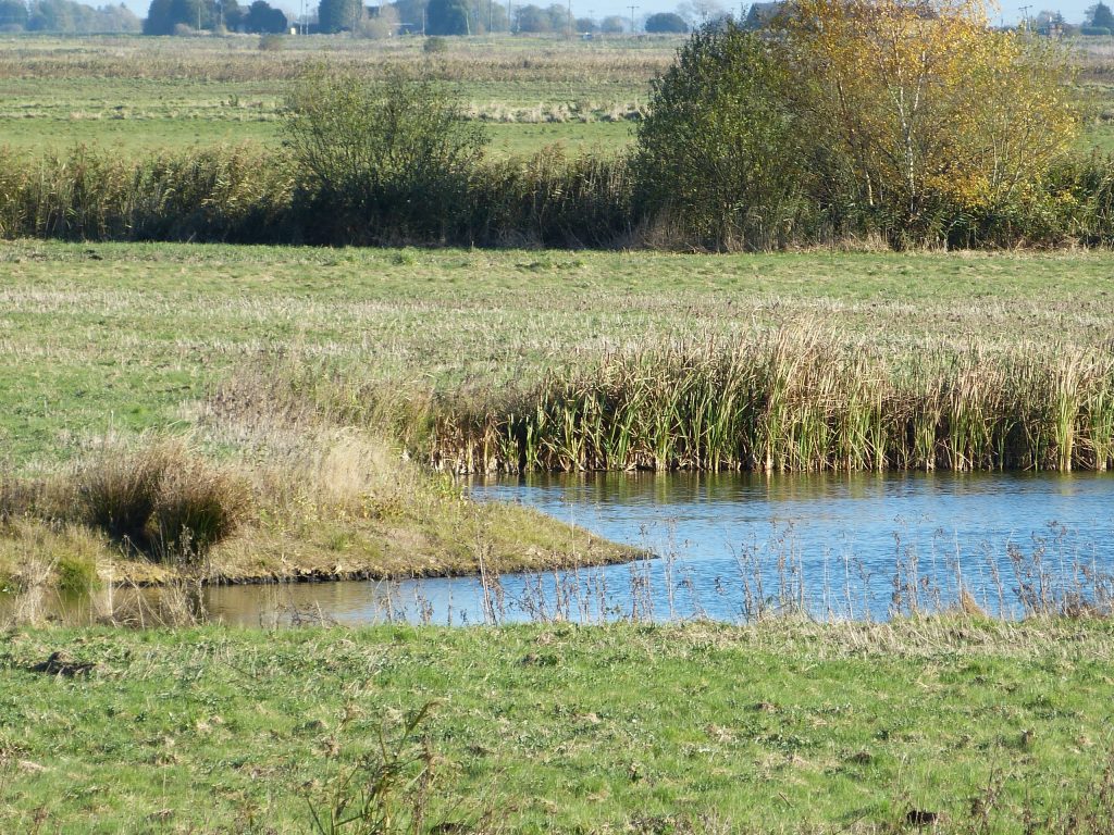 Places to visit: the Great Fen | Fen Edge Trail