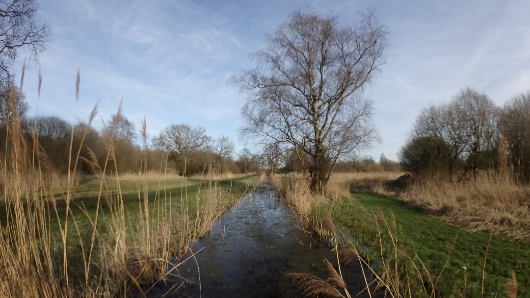 Places to visit: the Great Fen | Fen Edge Trail