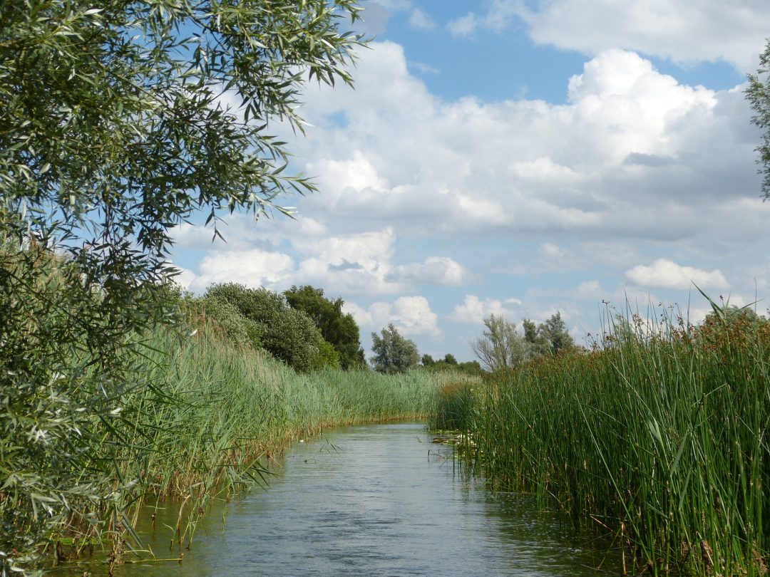 Places to visit: Wicken Fen | Fen Edge Trail