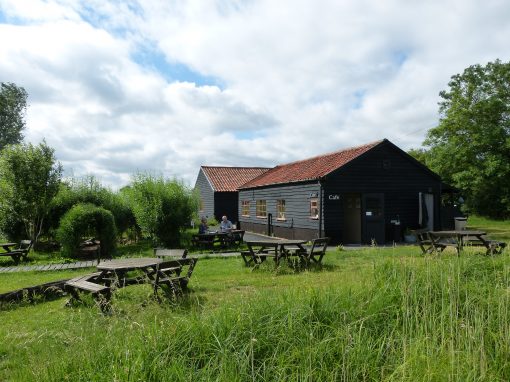 Places to visit: Wicken Fen | Fen Edge Trail
