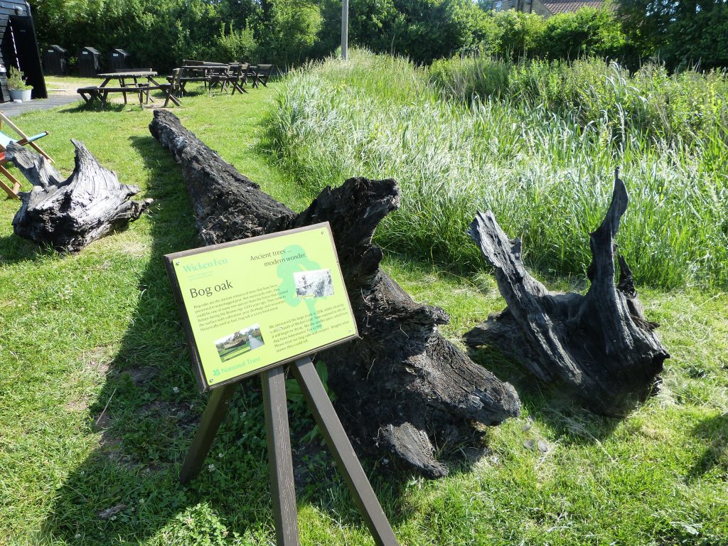 Places to visit: Wicken Fen | Fen Edge Trail
