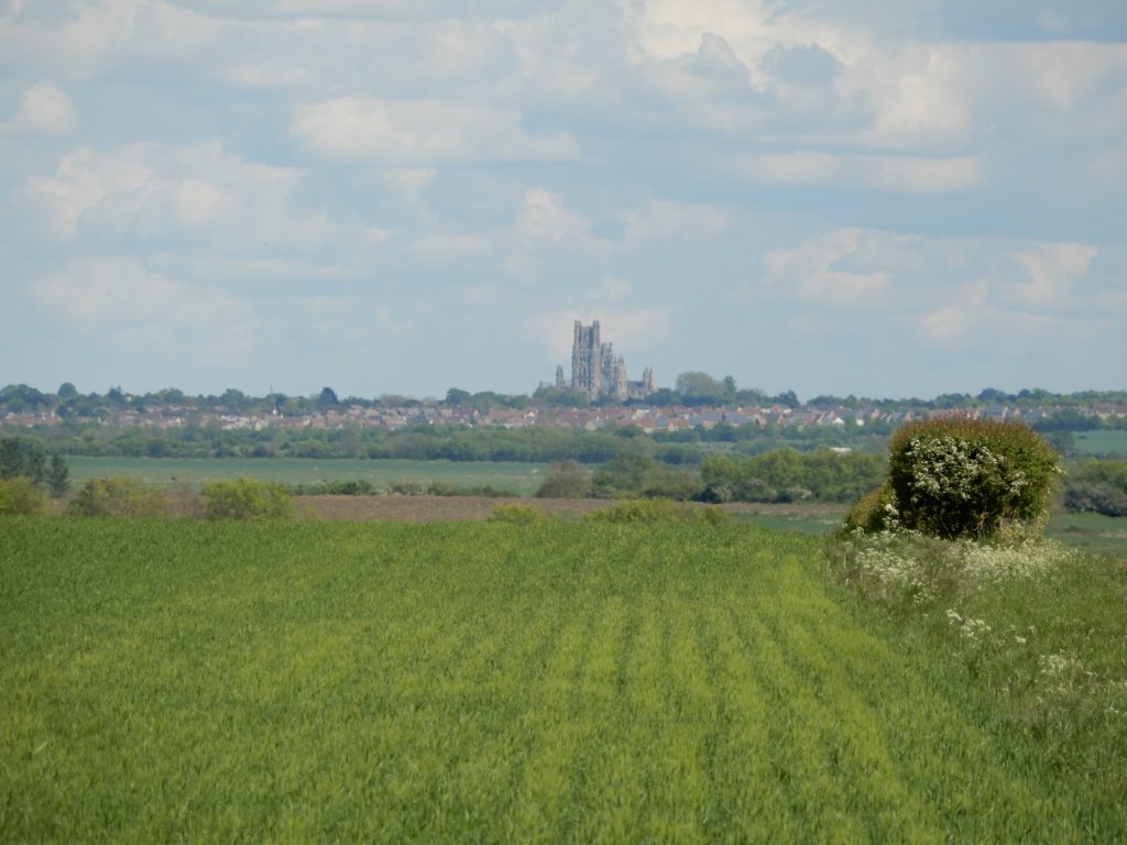 Isle of Ely | Fen Edge Trail