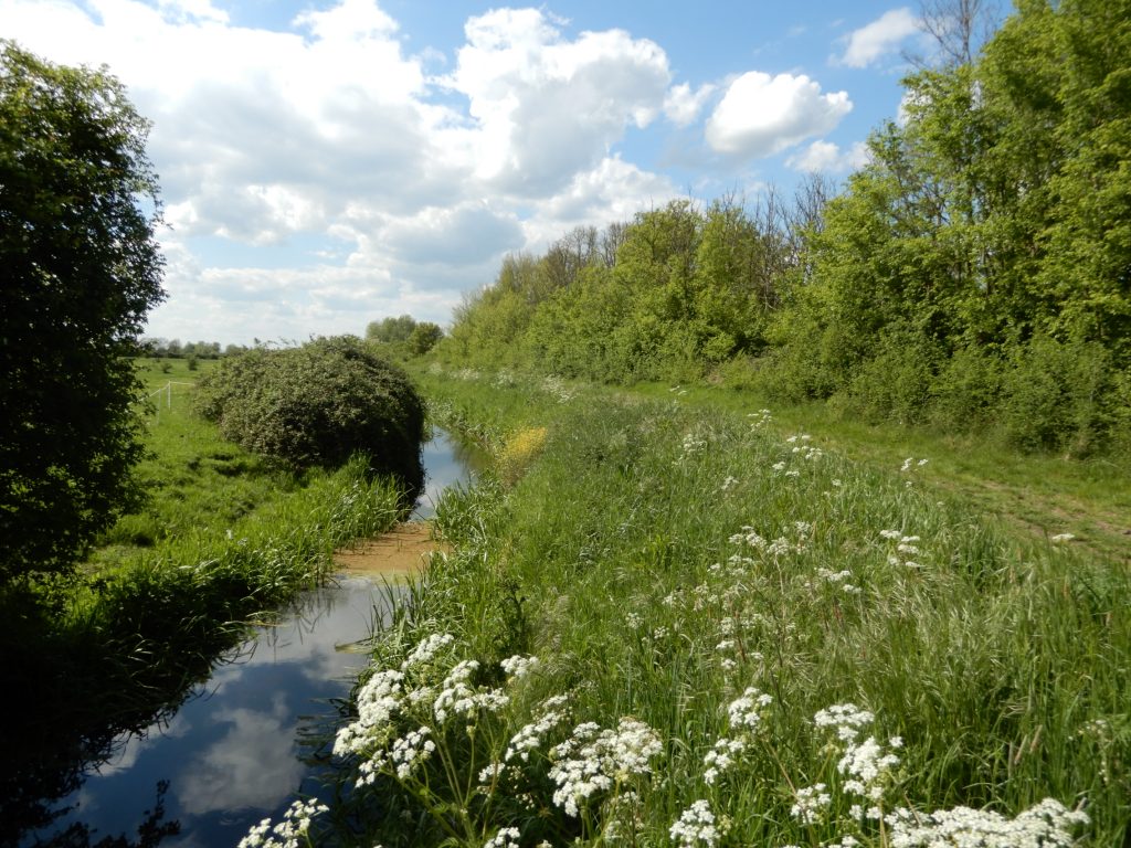 Isle of Ely | Fen Edge Trail