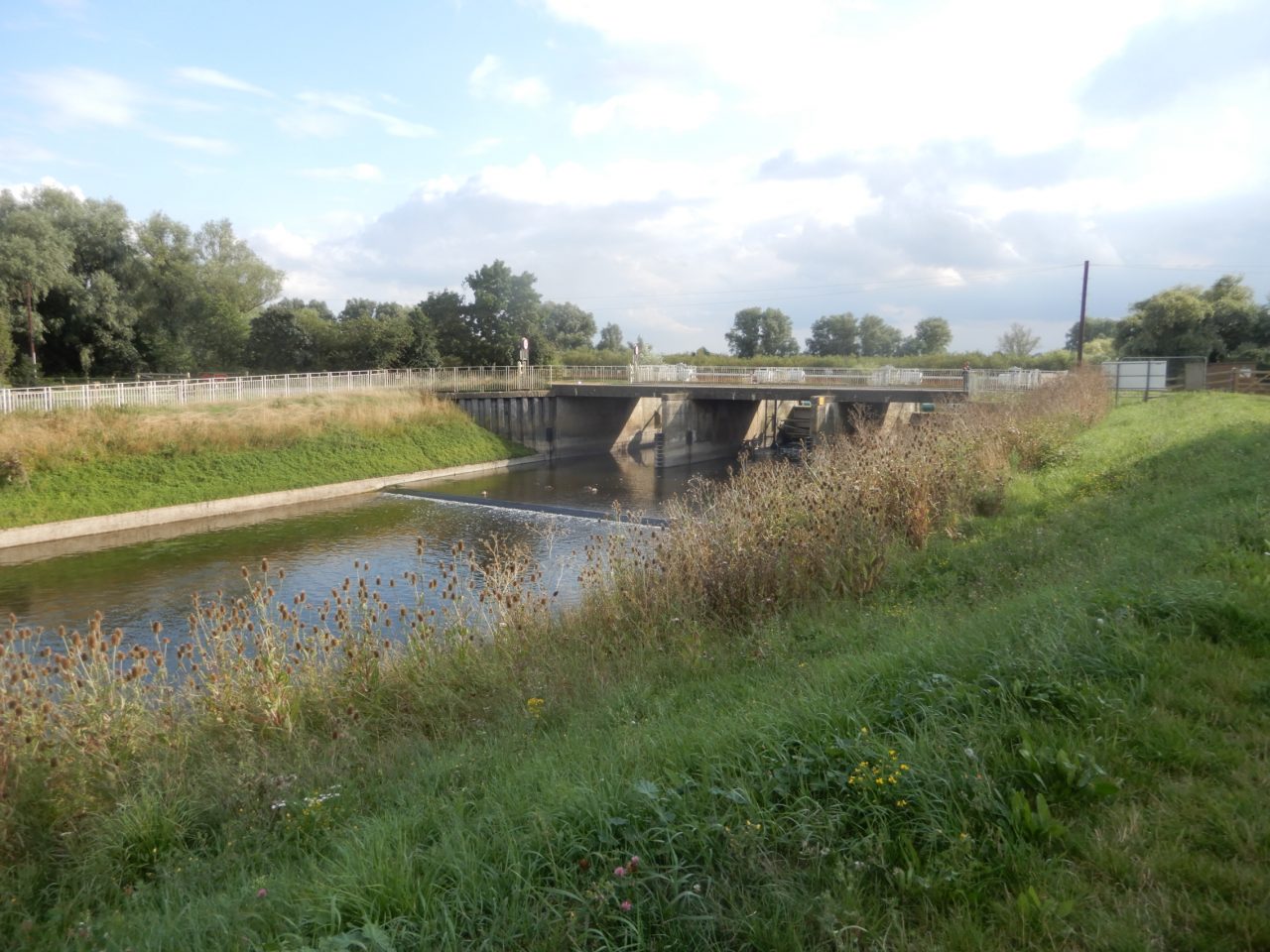 Fen Edge Trail | A walk across a landscape and time