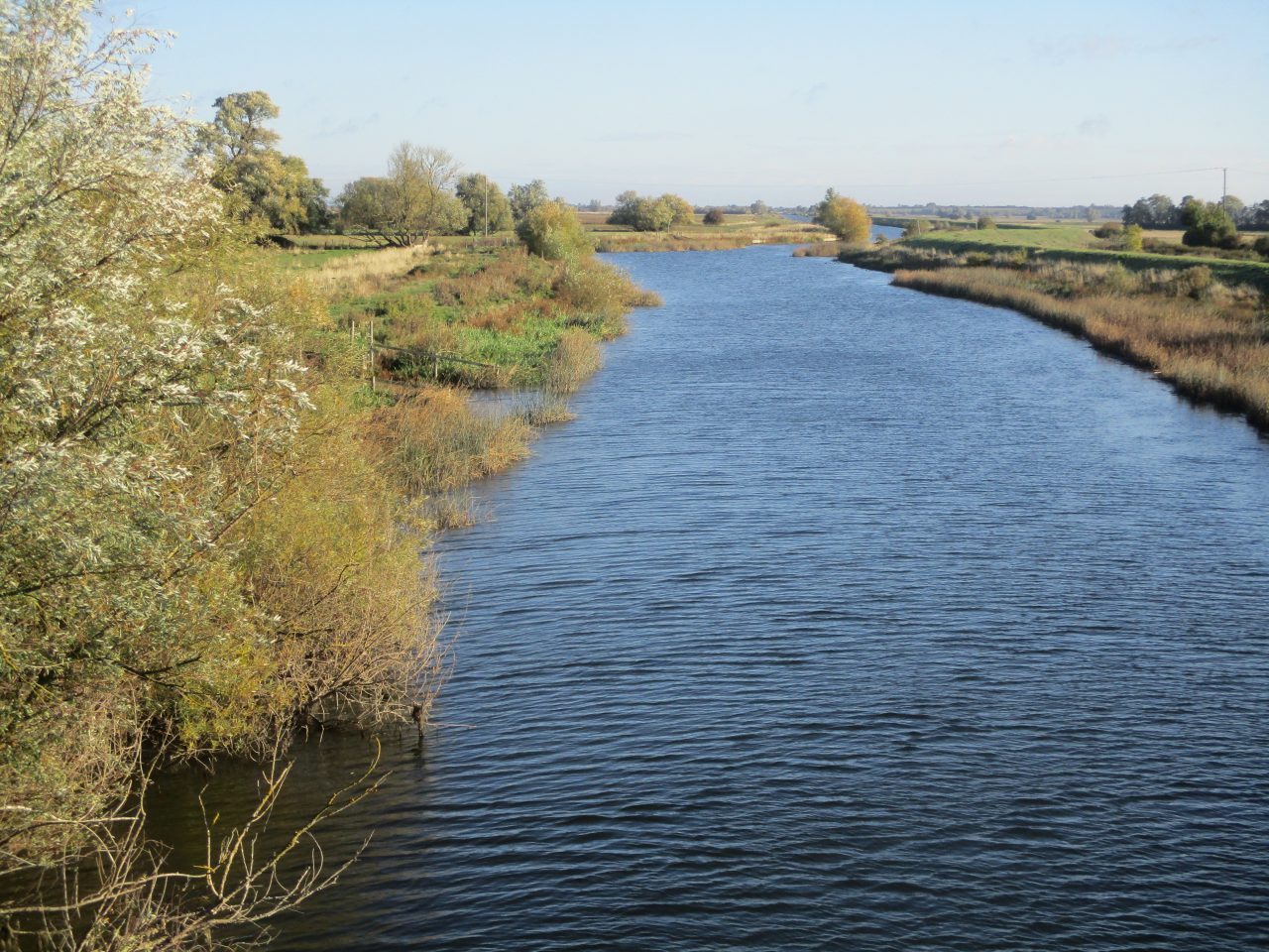 Fen Edge Trail | A walk across a landscape and time