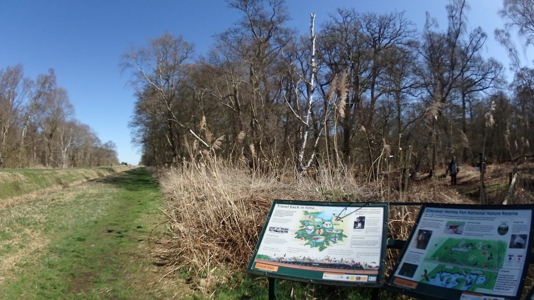 Places to visit: the Great Fen | Fen Edge Trail
