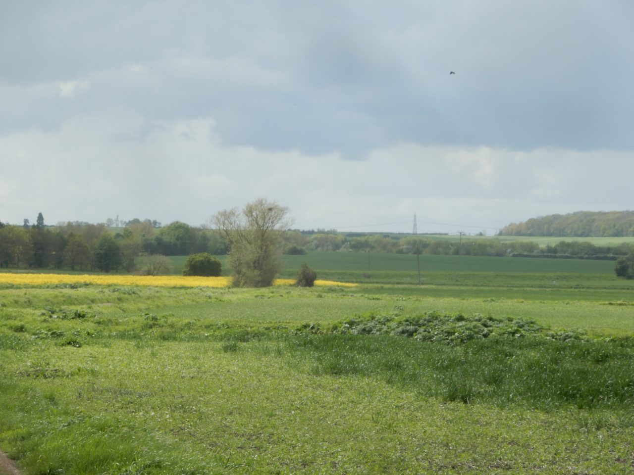 Fen Edge Trail | A walk across a landscape and time