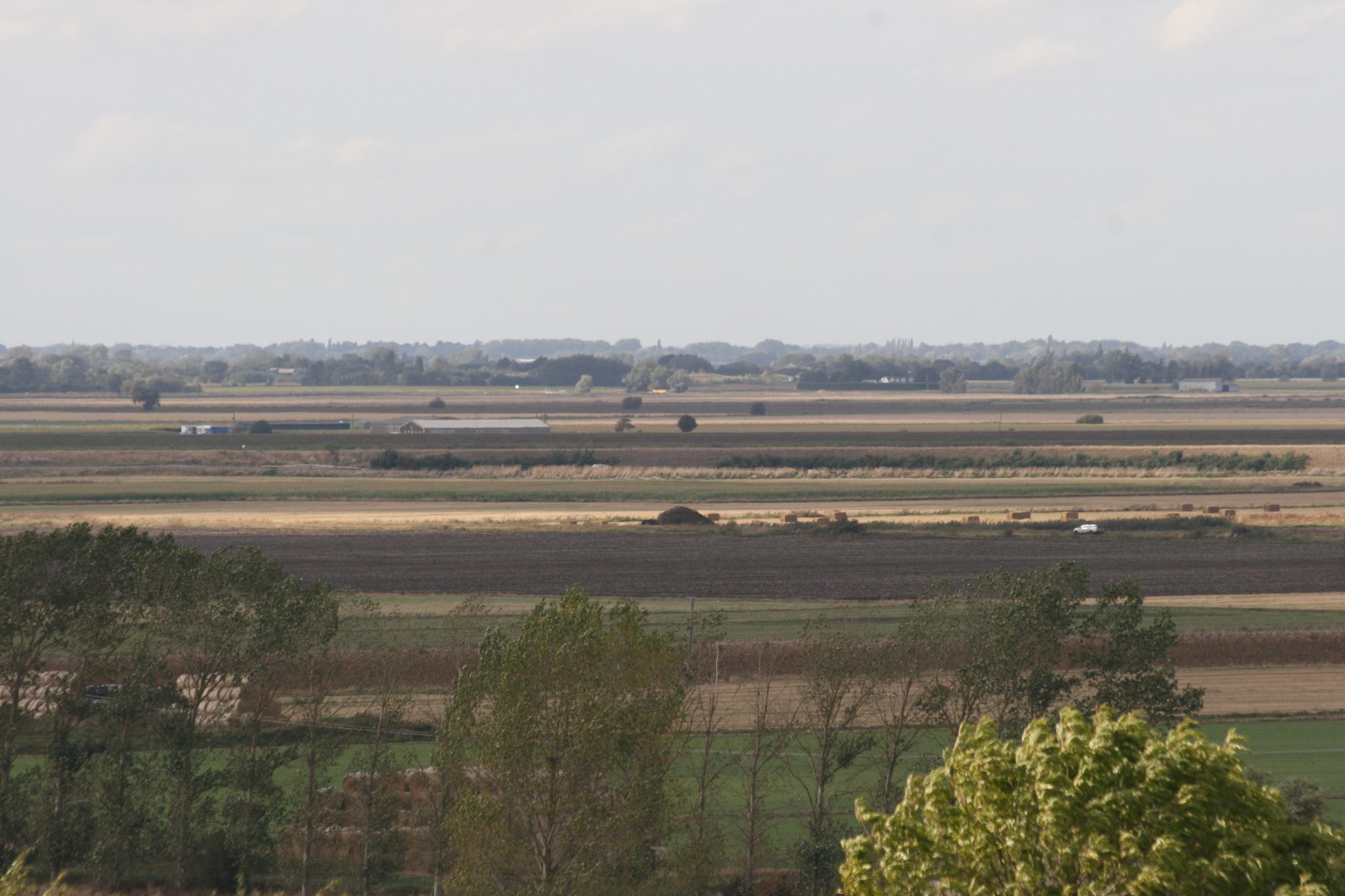 Isle of Ely | Fen Edge Trail